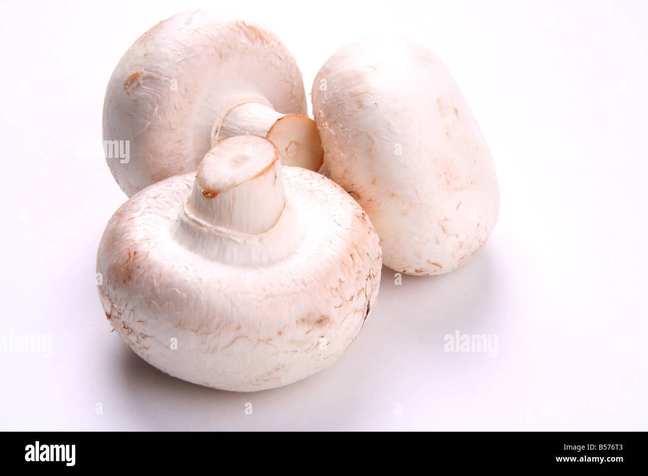 Silo cut out mushroom hi-res stock photography and images - Alamy