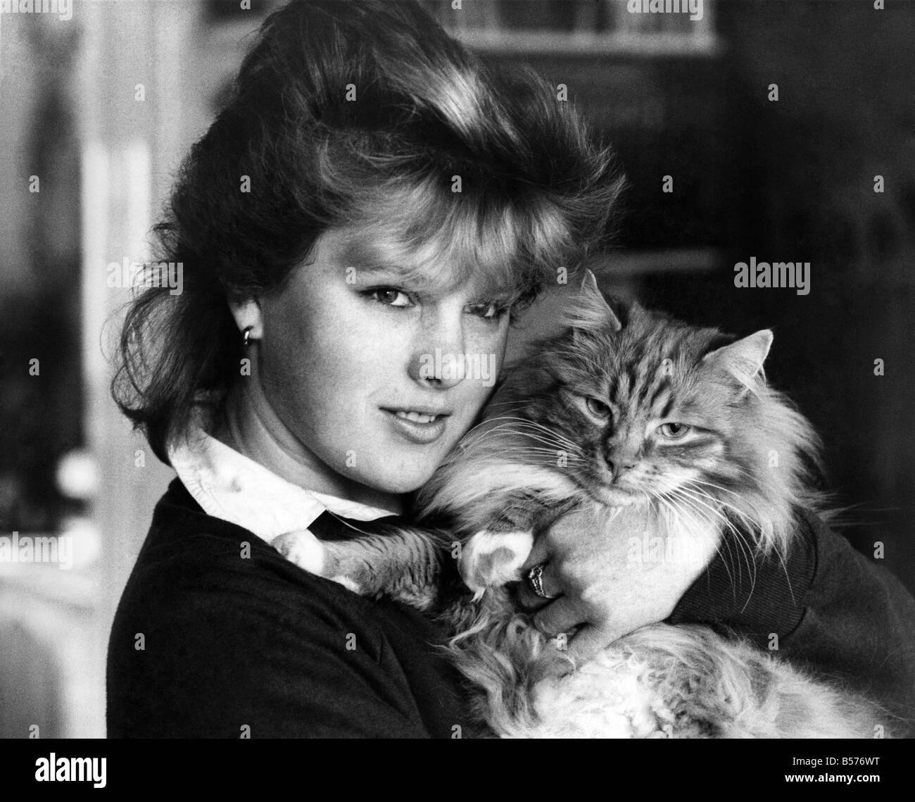 Monty the cat hi-res stock photography and images - Alamy