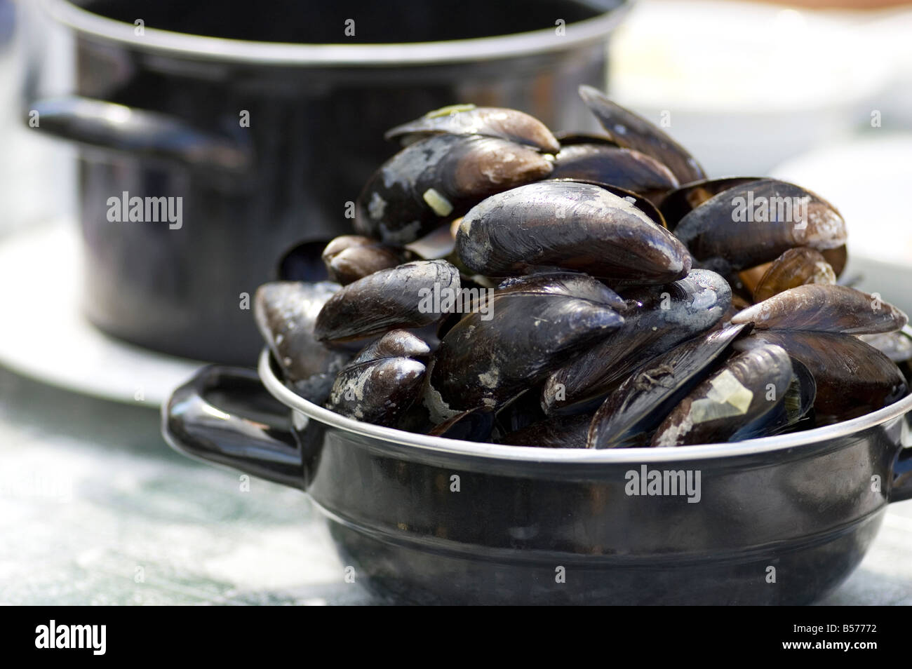 Pot full of steamed mussels Stock Photo - Alamy