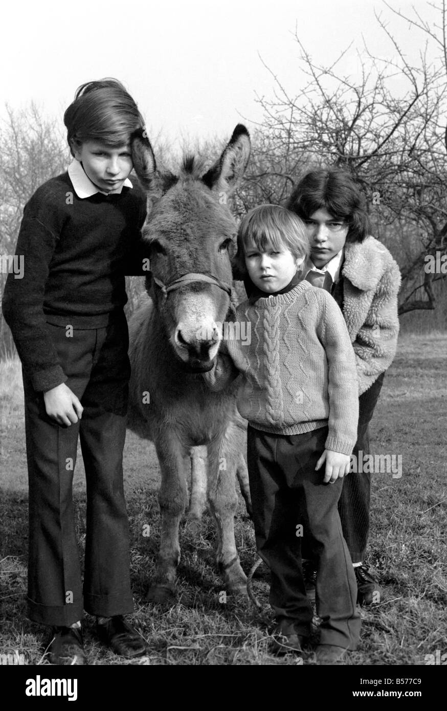 Children with donkey. February 1975 75-00759 Stock Photo - Alamy