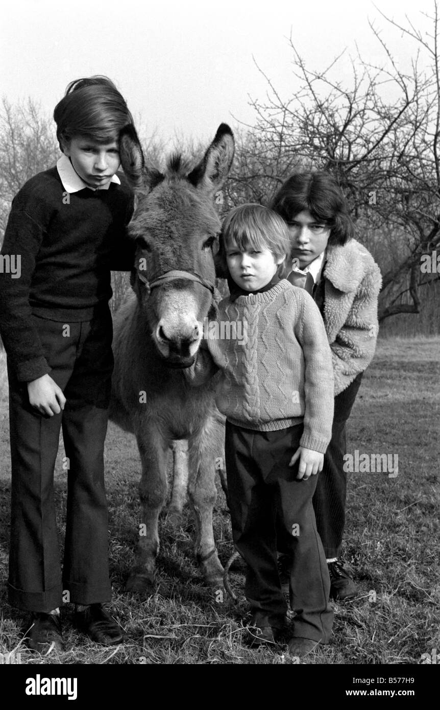Children with donkey. February 1975 75-00759-002 Stock Photo - Alamy