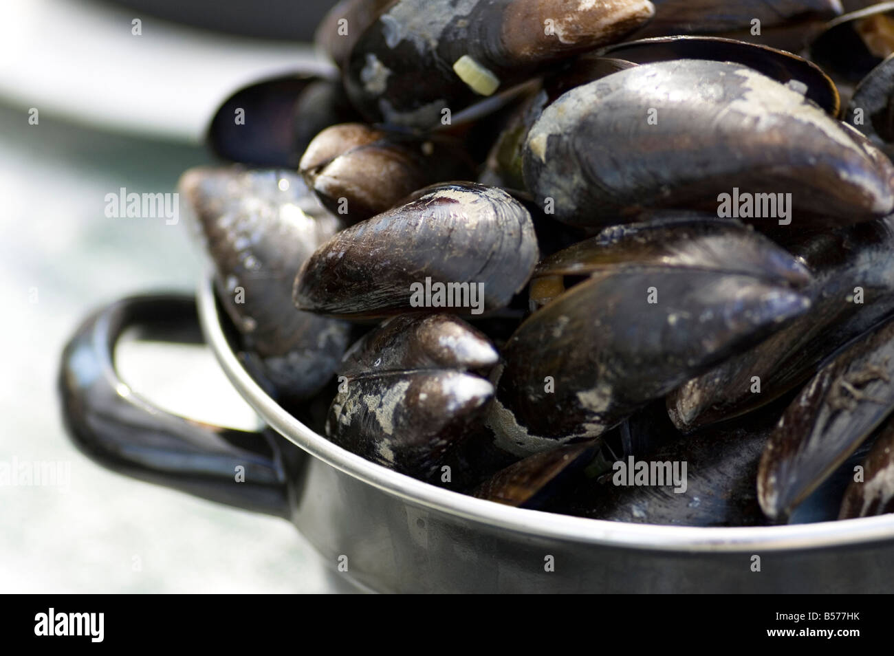 Pot mussels hi-res stock photography and images - Alamy