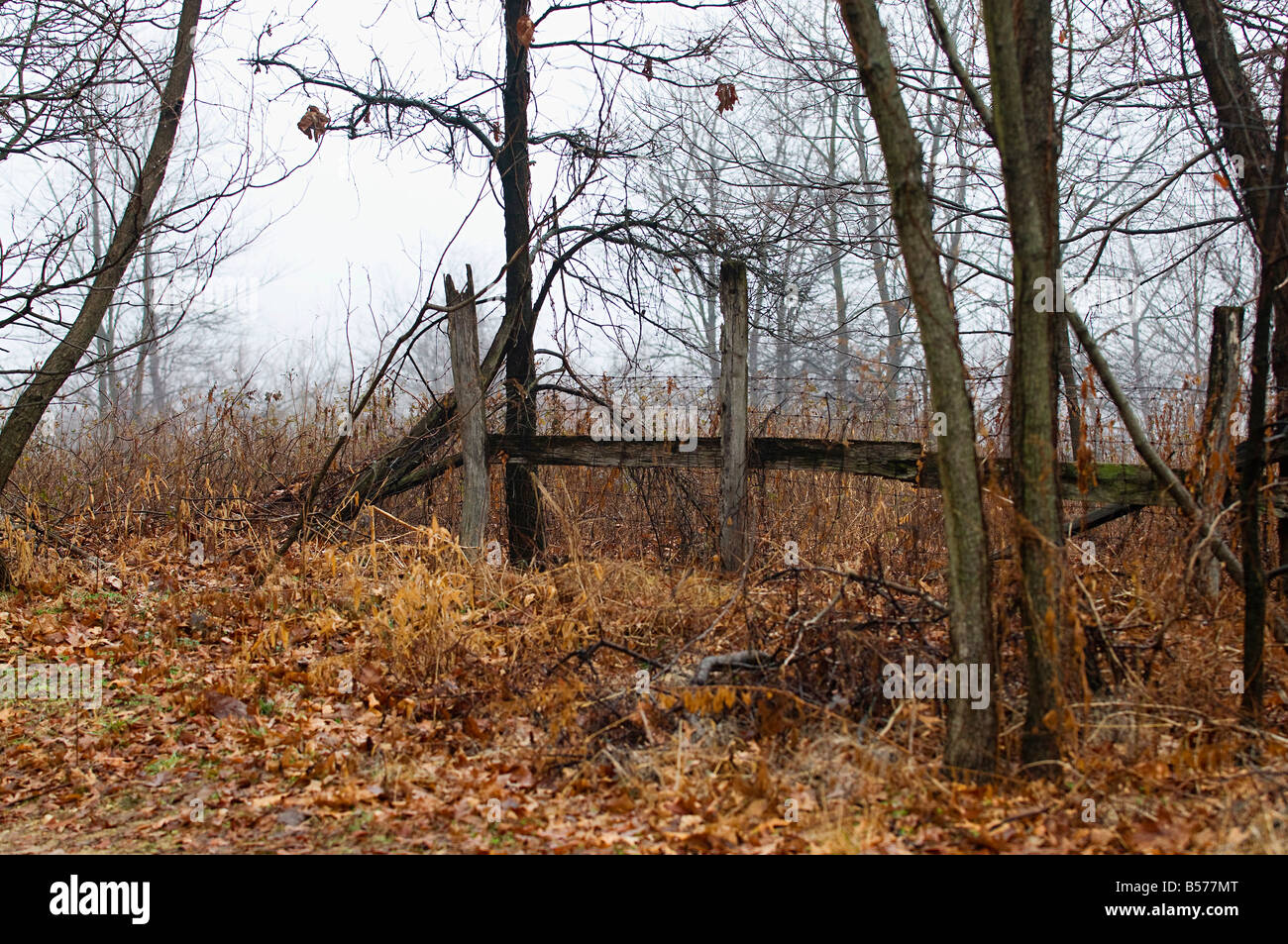 Old farm fence on a gloomy day Stock Photo - Alamy