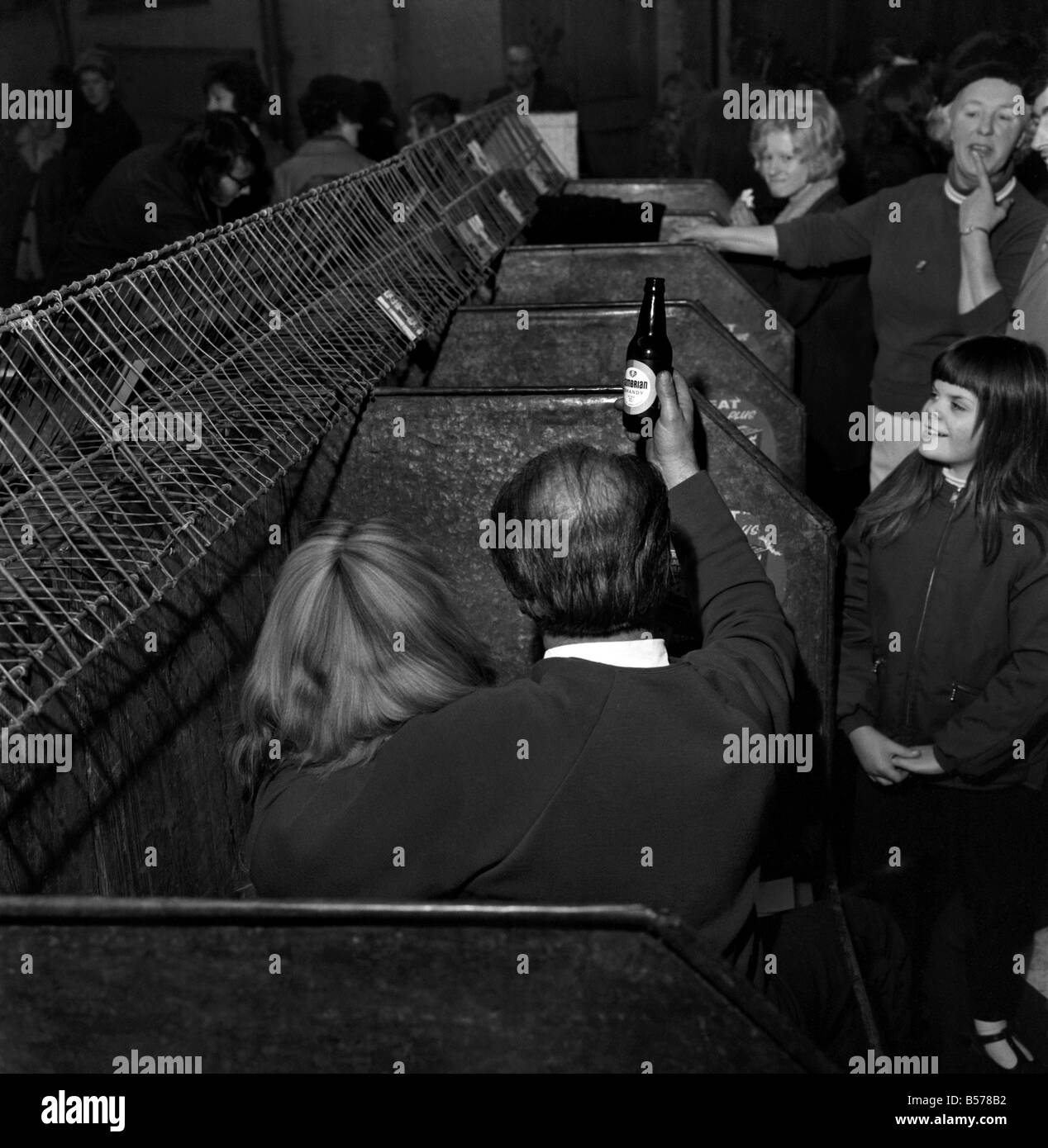 Bolton Dog Show: Some dogs went reluctantly to the Bolton Dog Show the ...
