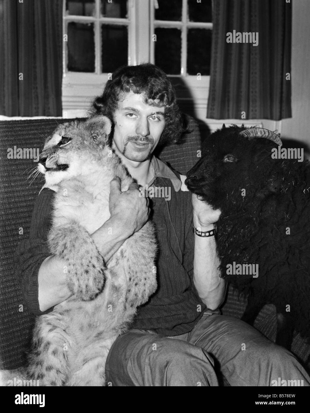 The lion and lamb Black and White Stock Photos & Images - Alamy