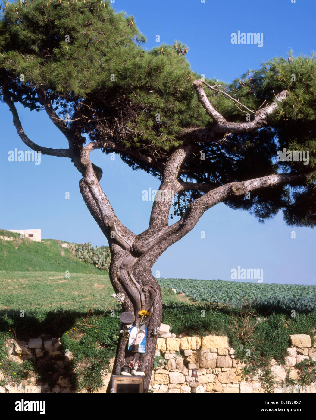 Malta christ crucified tree hi-res stock photography and images - Alamy