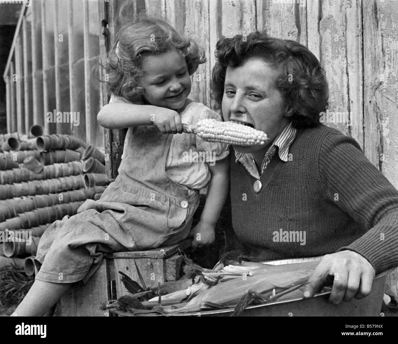 Small new plants in Black and White Stock Photos & Images - Alamy