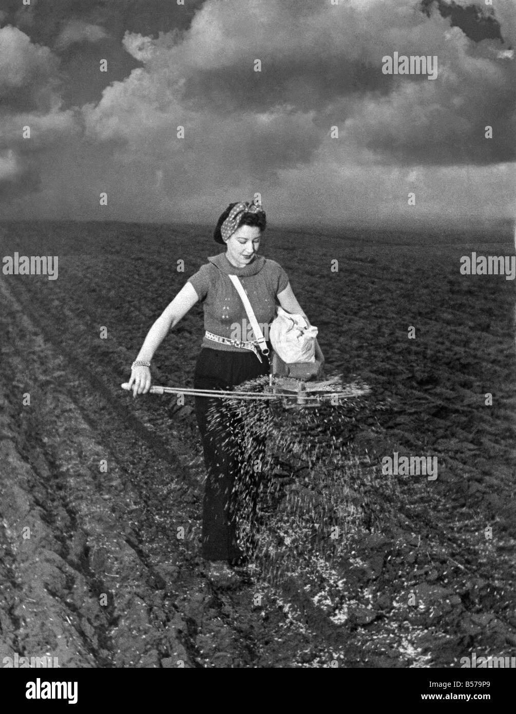 Farming: Sow seed's using a fiddle. February 1941 P004488 Stock Photo ...