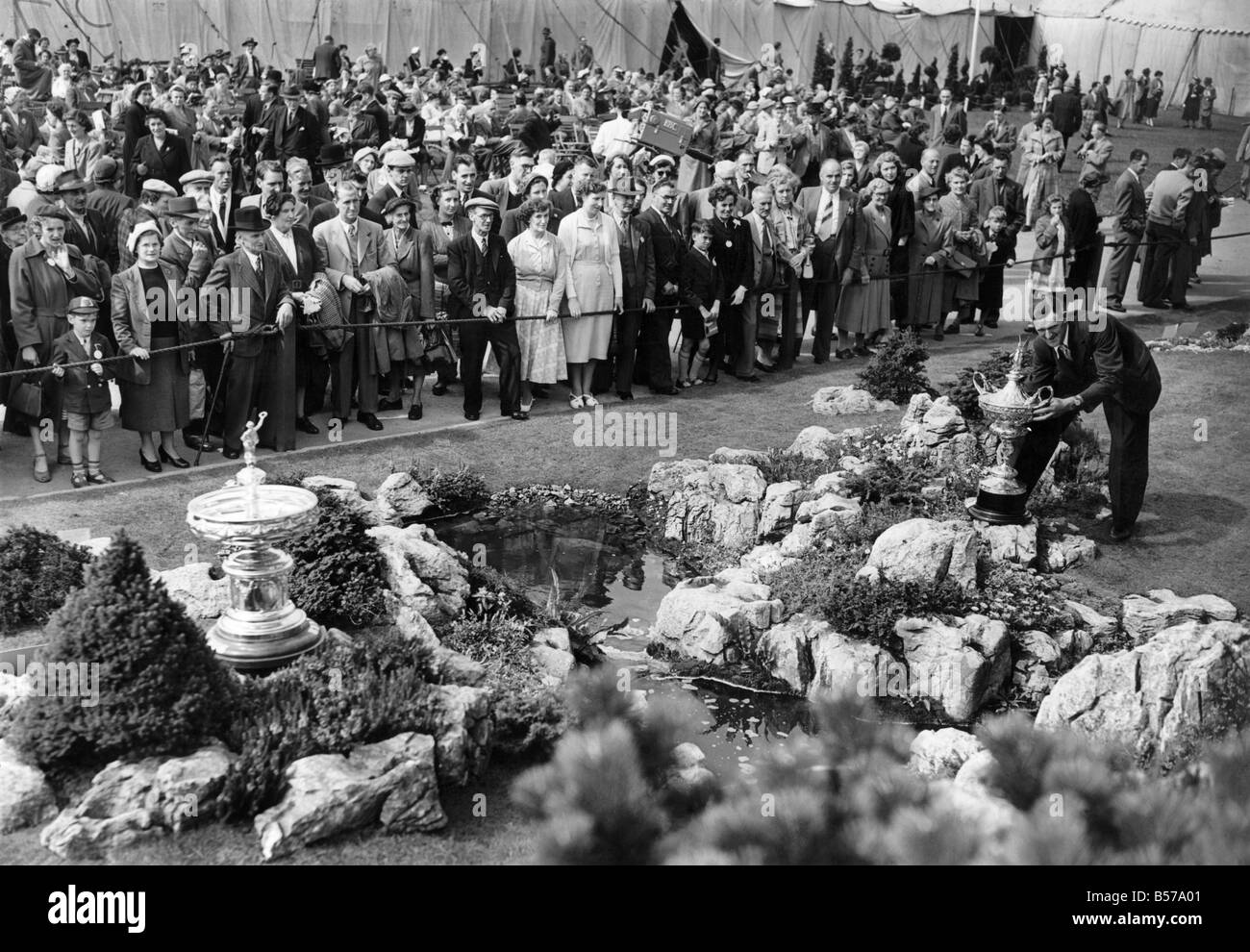 1950s garden flowers hi-res stock photography and images - Alamy