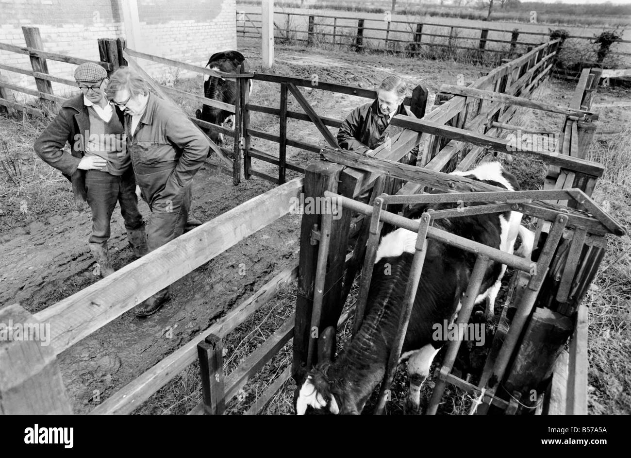 1970s farming hi-res stock photography and images - Alamy