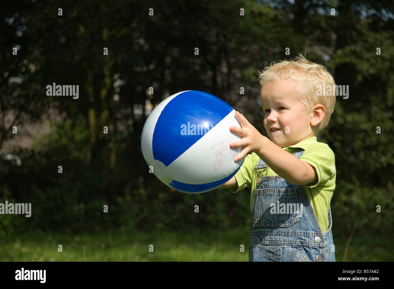 Little boy is catching the ball Stock Photo - Alamy