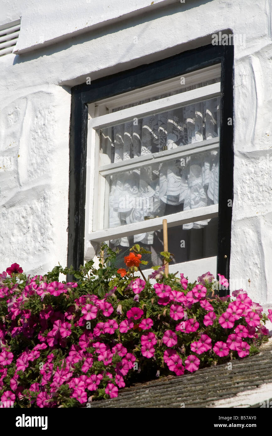 Open sash black-framed Cornish cottage window against a white wall with ...