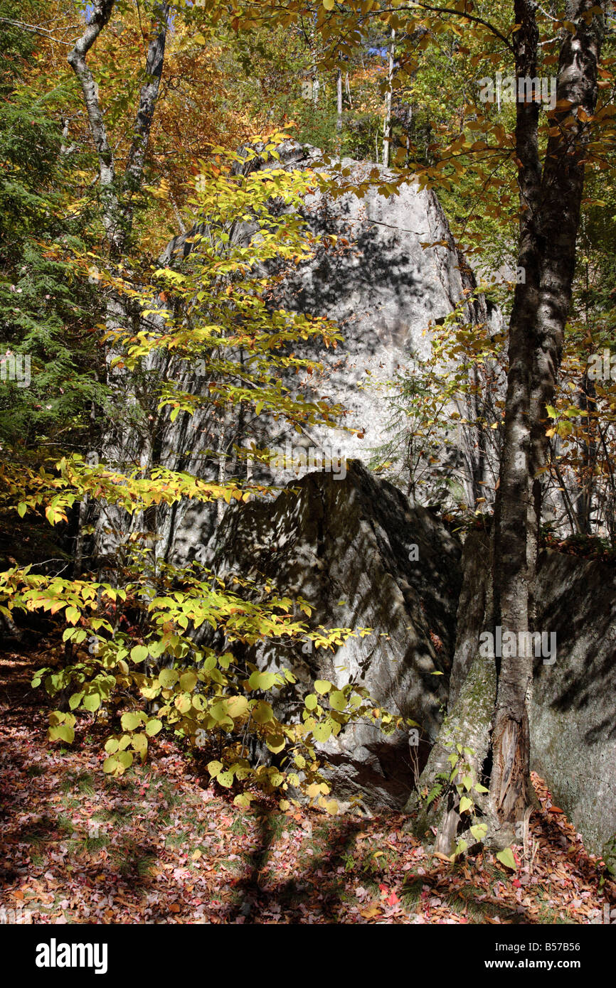 Sandwich Notch Road during the autumn months Located in Sandwich New ...