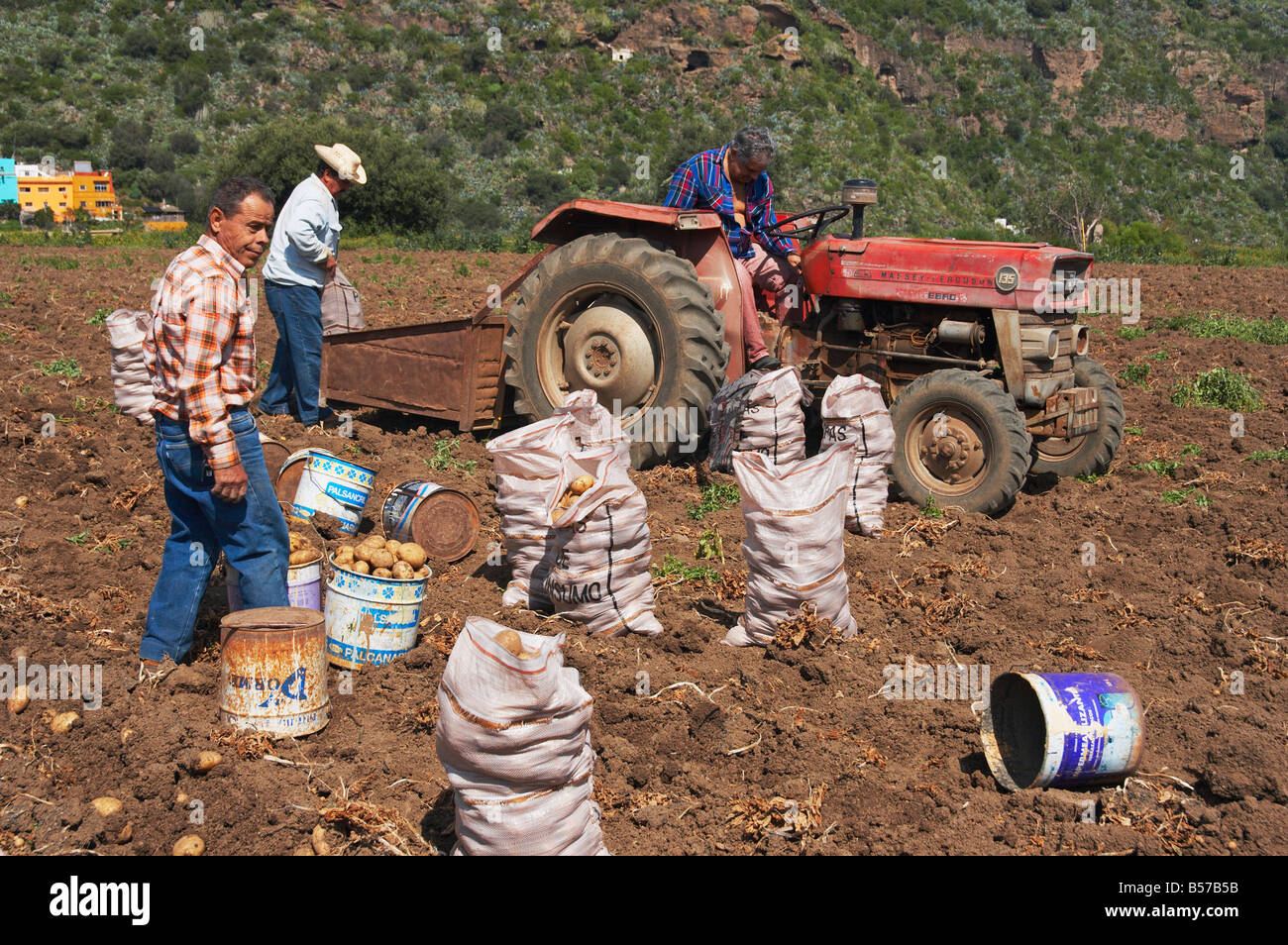 Farmer in field europe hi-res stock photography and images - Alamy