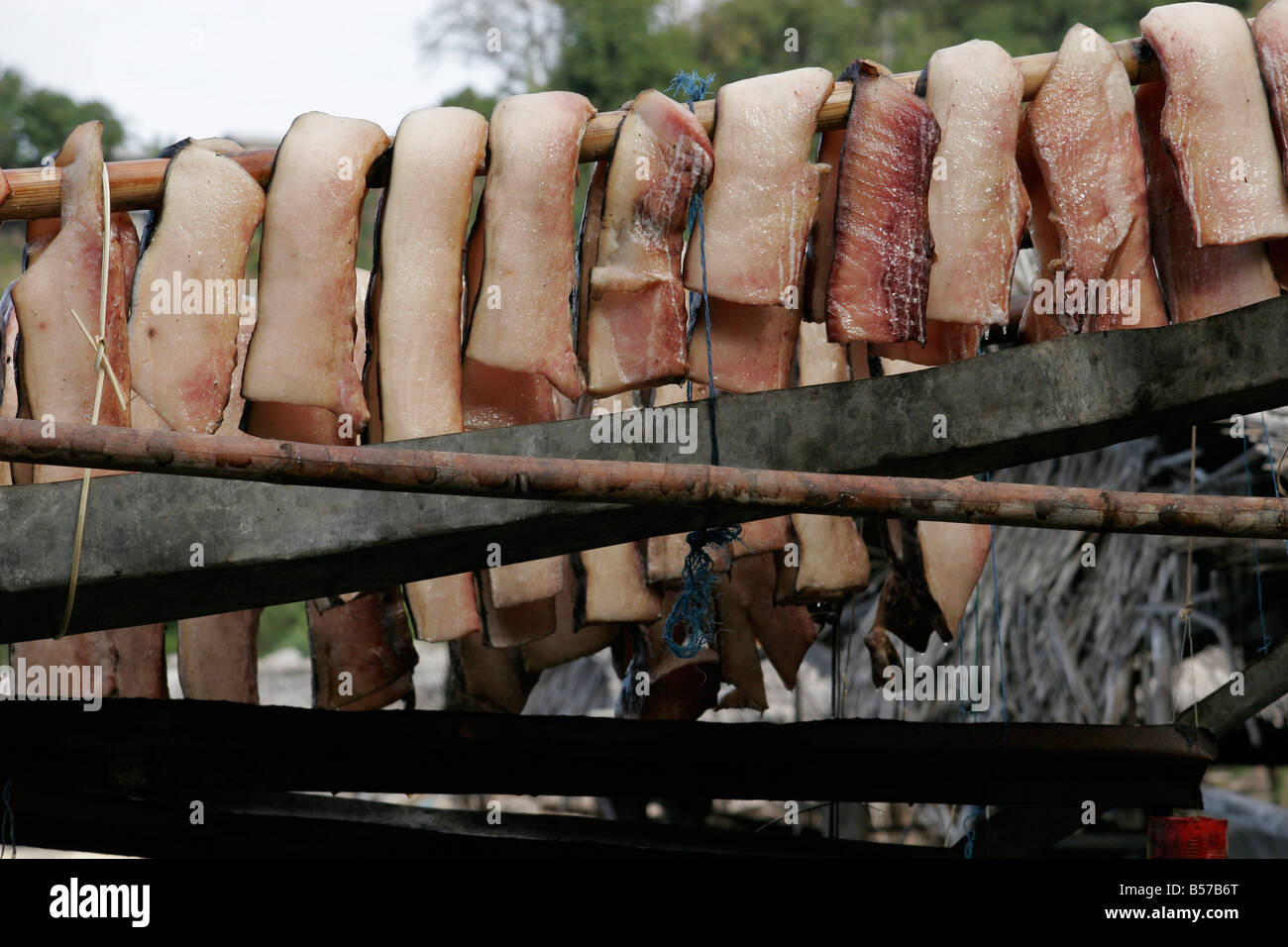 Whale meat dry hi-res stock photography and images - Alamy