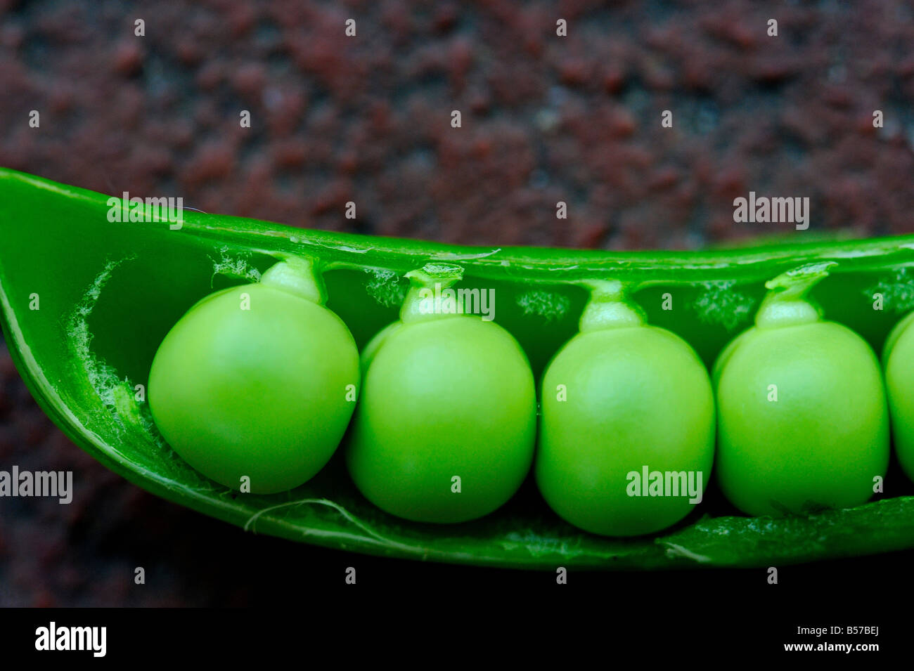 Peas in a pod Stock Photo - Alamy