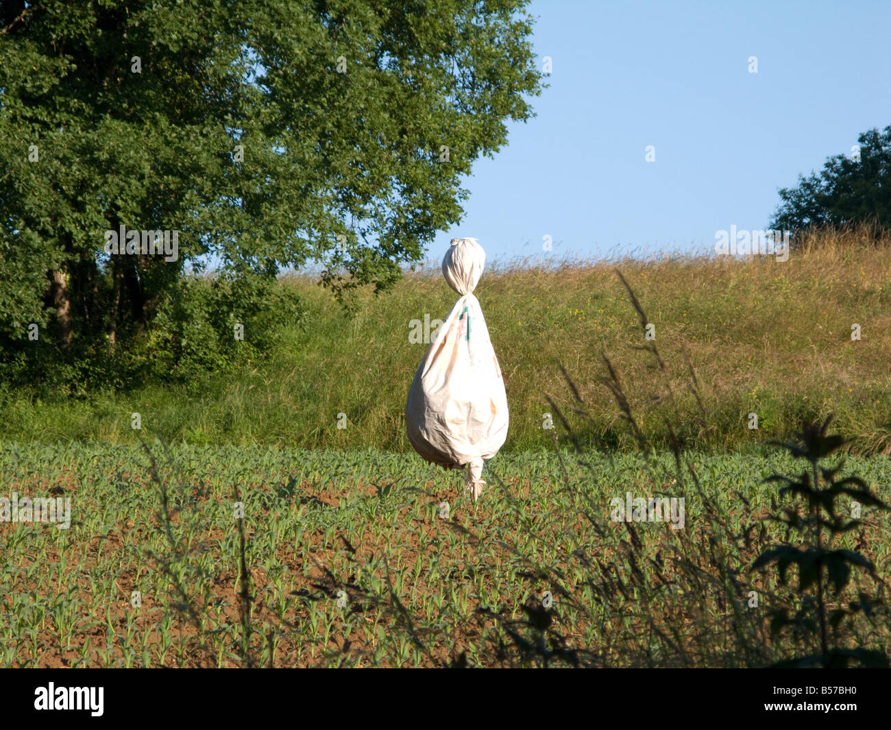 Plastic bag scarecrow hi-res stock photography and images - Alamy