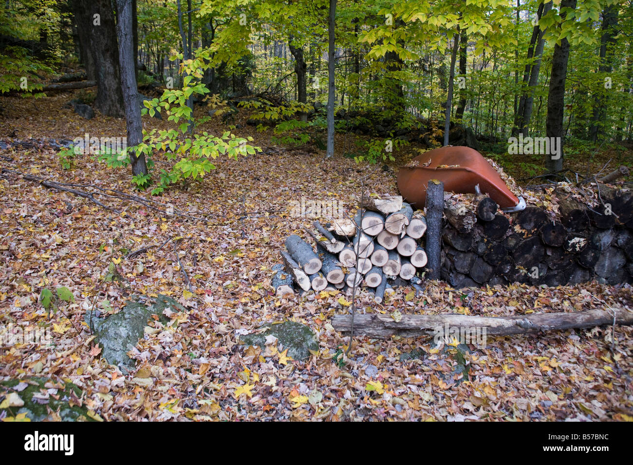 back yard fall foliage New England Killington Vermont Stock Photo - Alamy