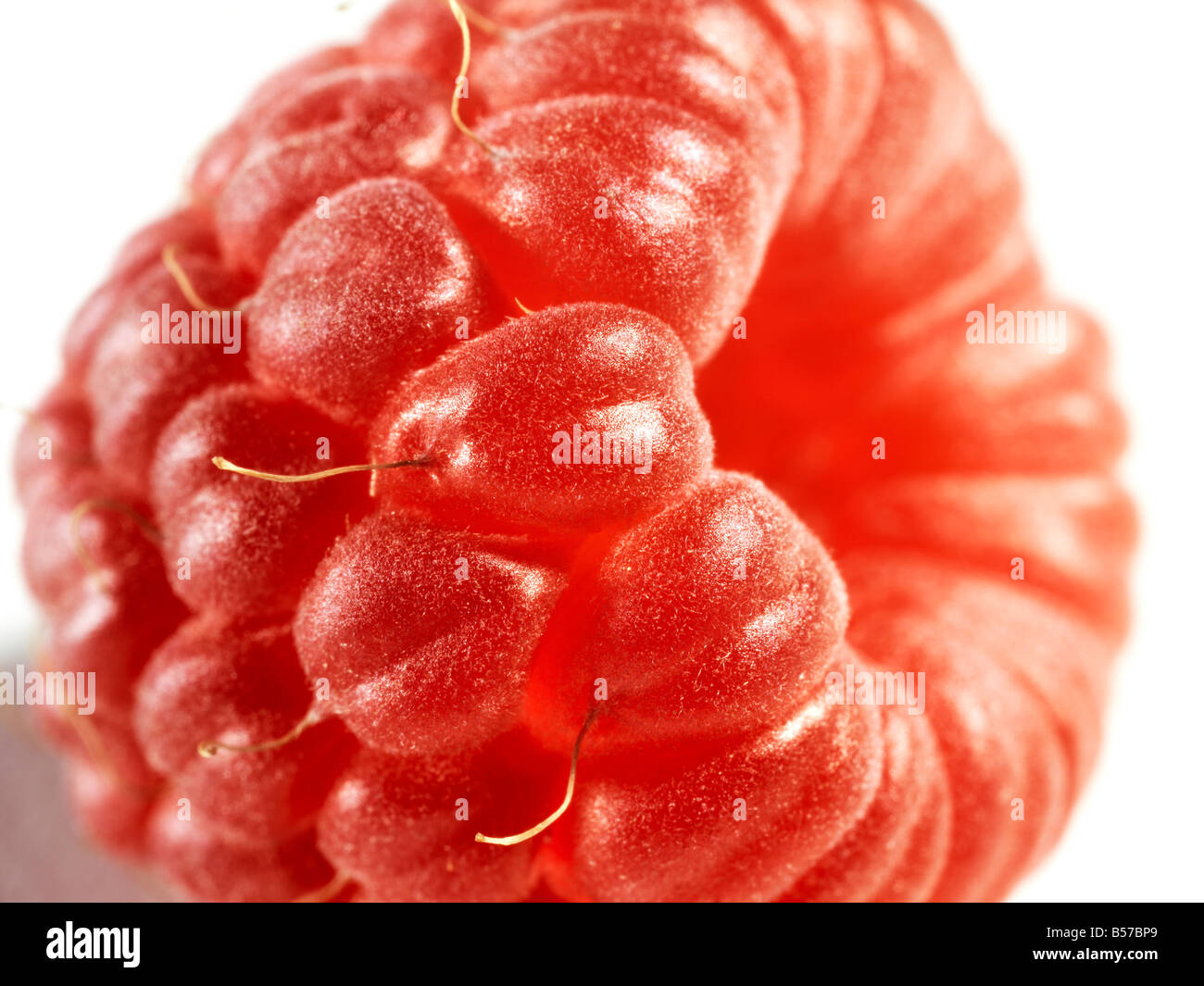ultra close up of a raspberry Stock Photo - Alamy