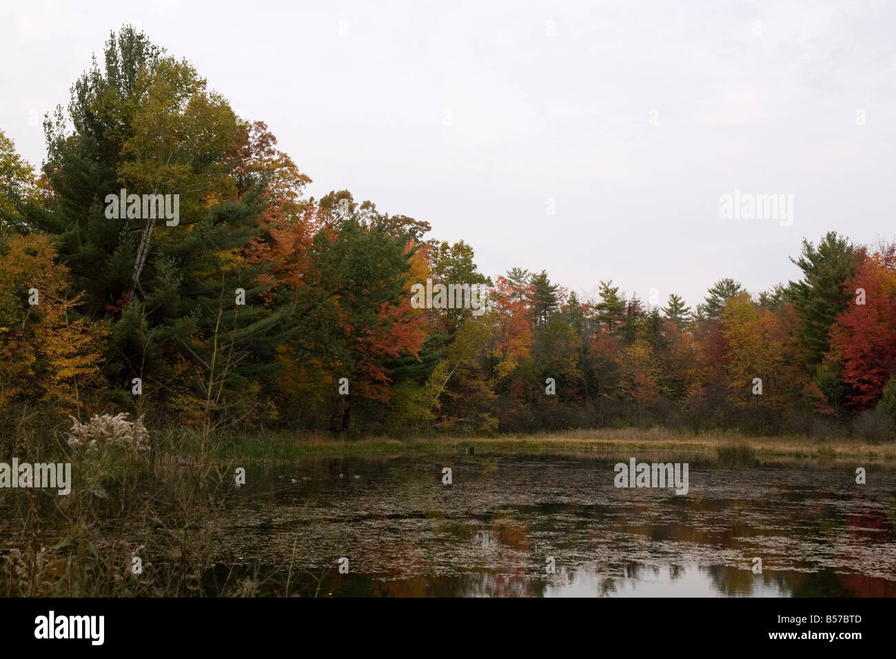 Killington vermont fall hi-res stock photography and images - Alamy