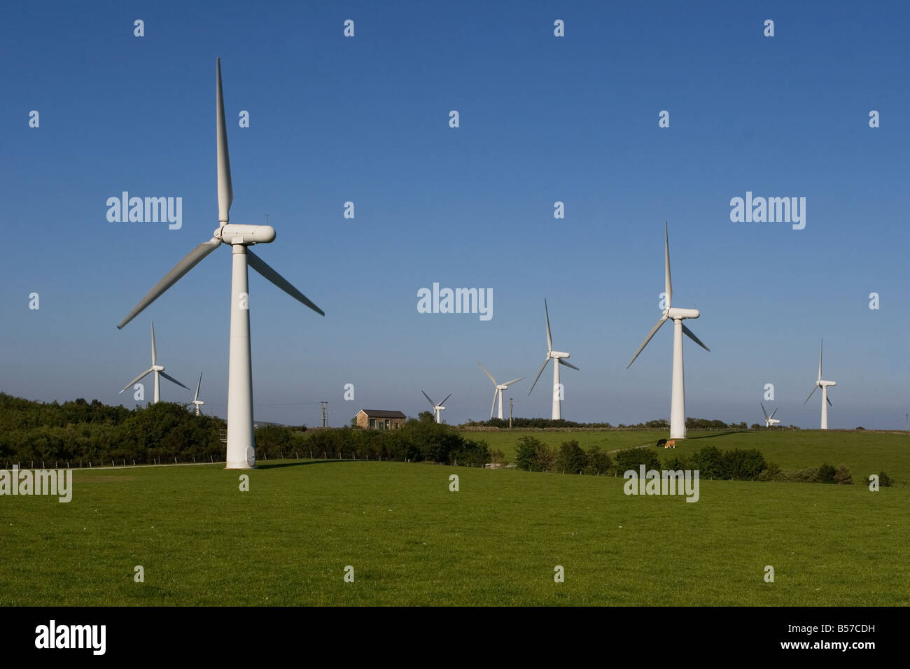 Revenue generators hi-res stock photography and images - Alamy