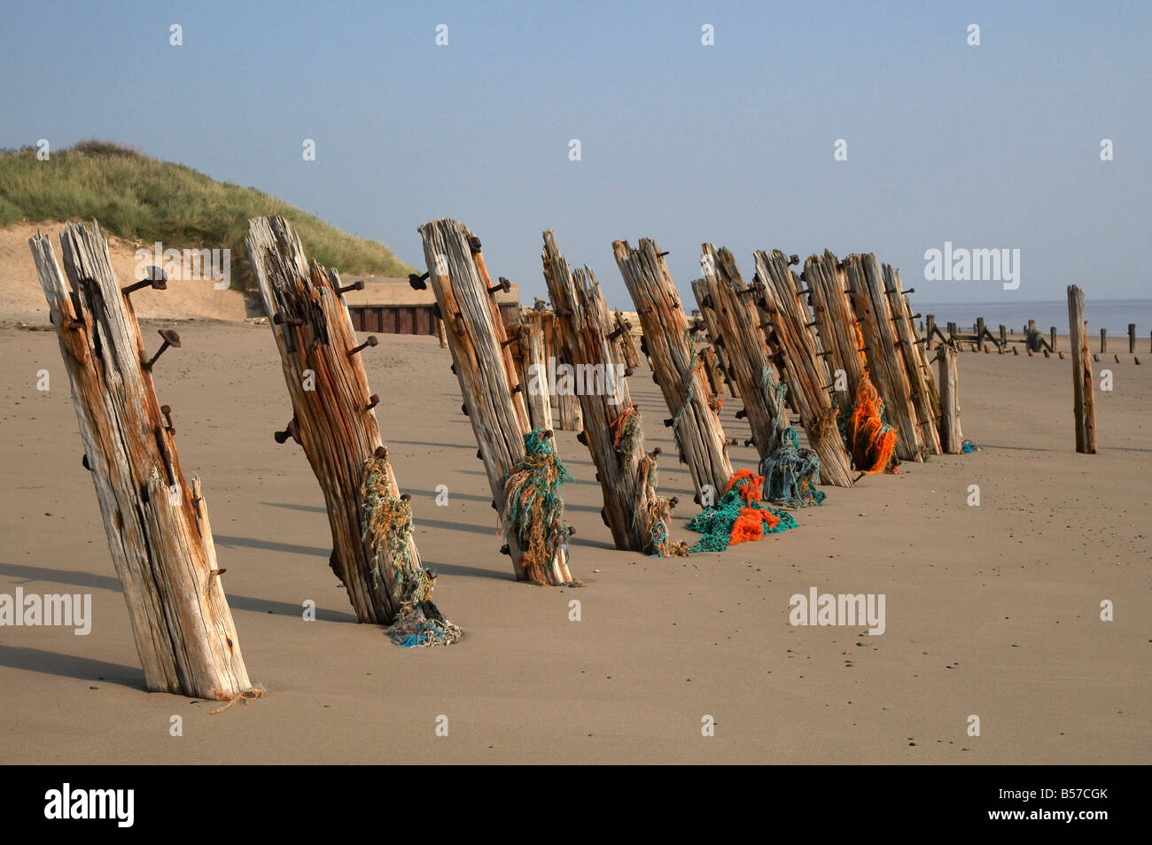 Rotting groynes hi-res stock photography and images - Alamy