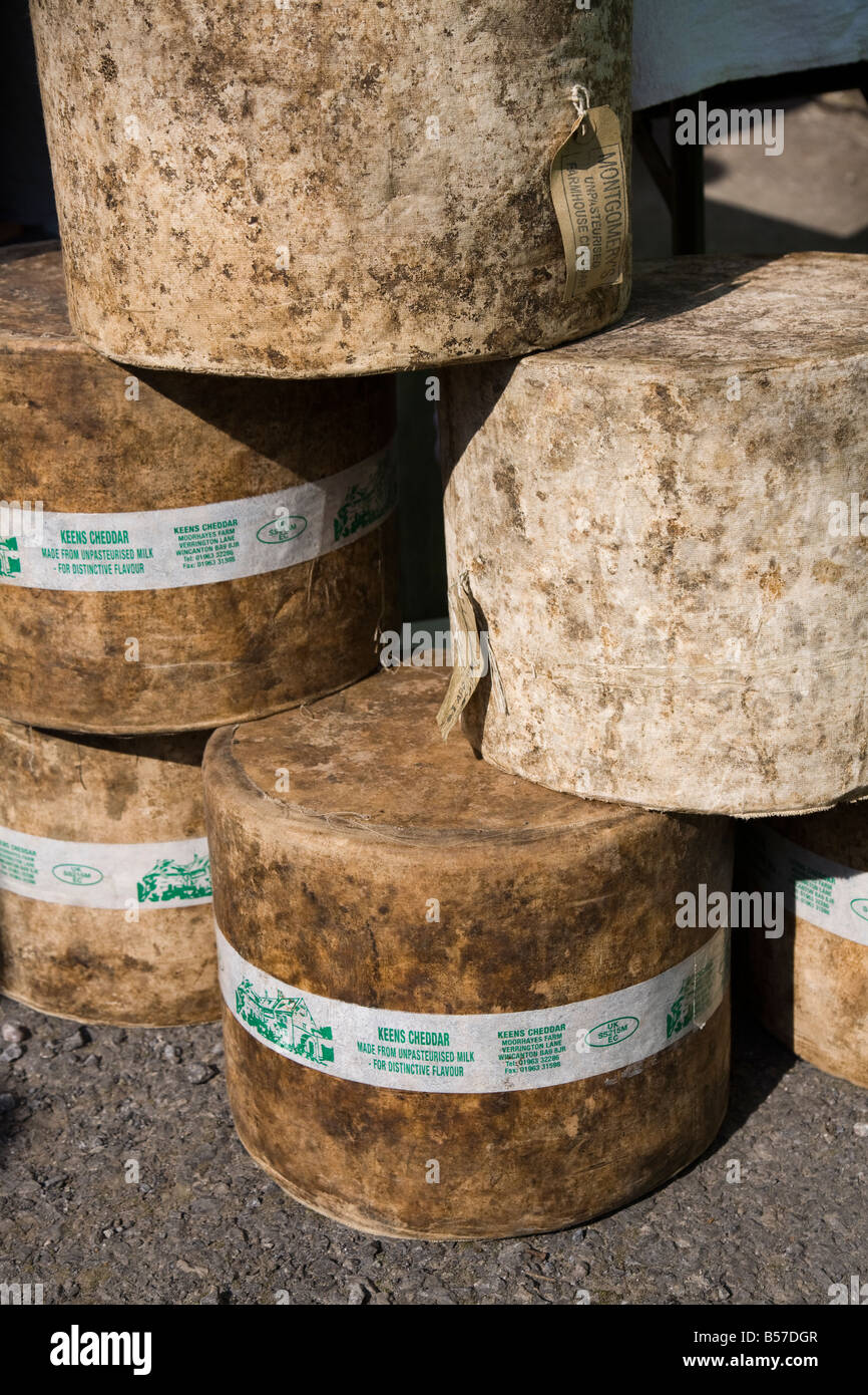 Rounds Cheddar Cheese High Resolution Stock Photography and Images - Alamy