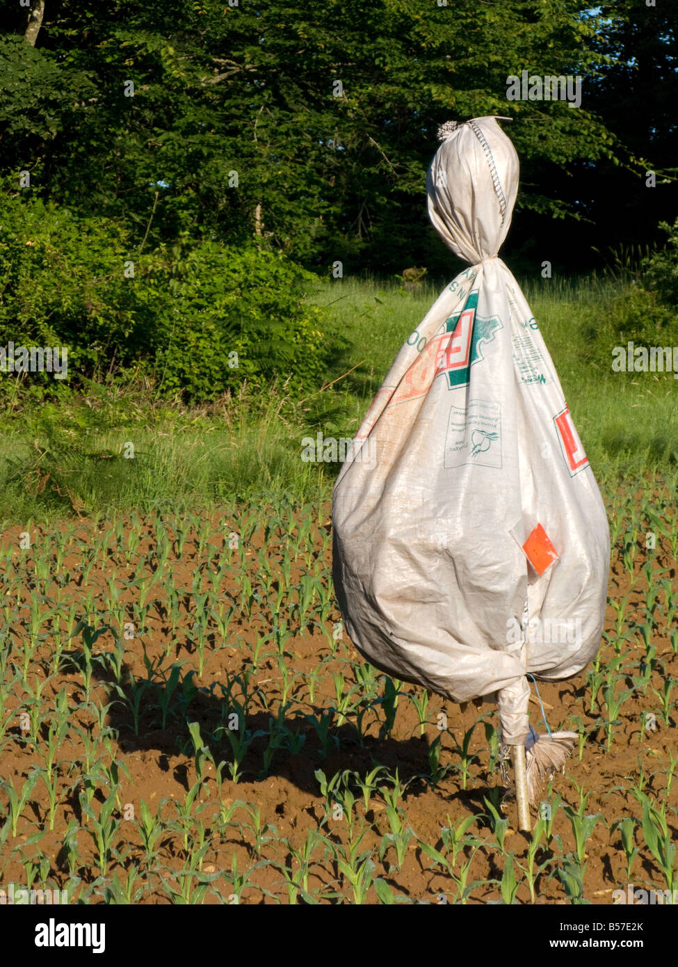 Plastic bag scarecrow hi-res stock photography and images - Alamy