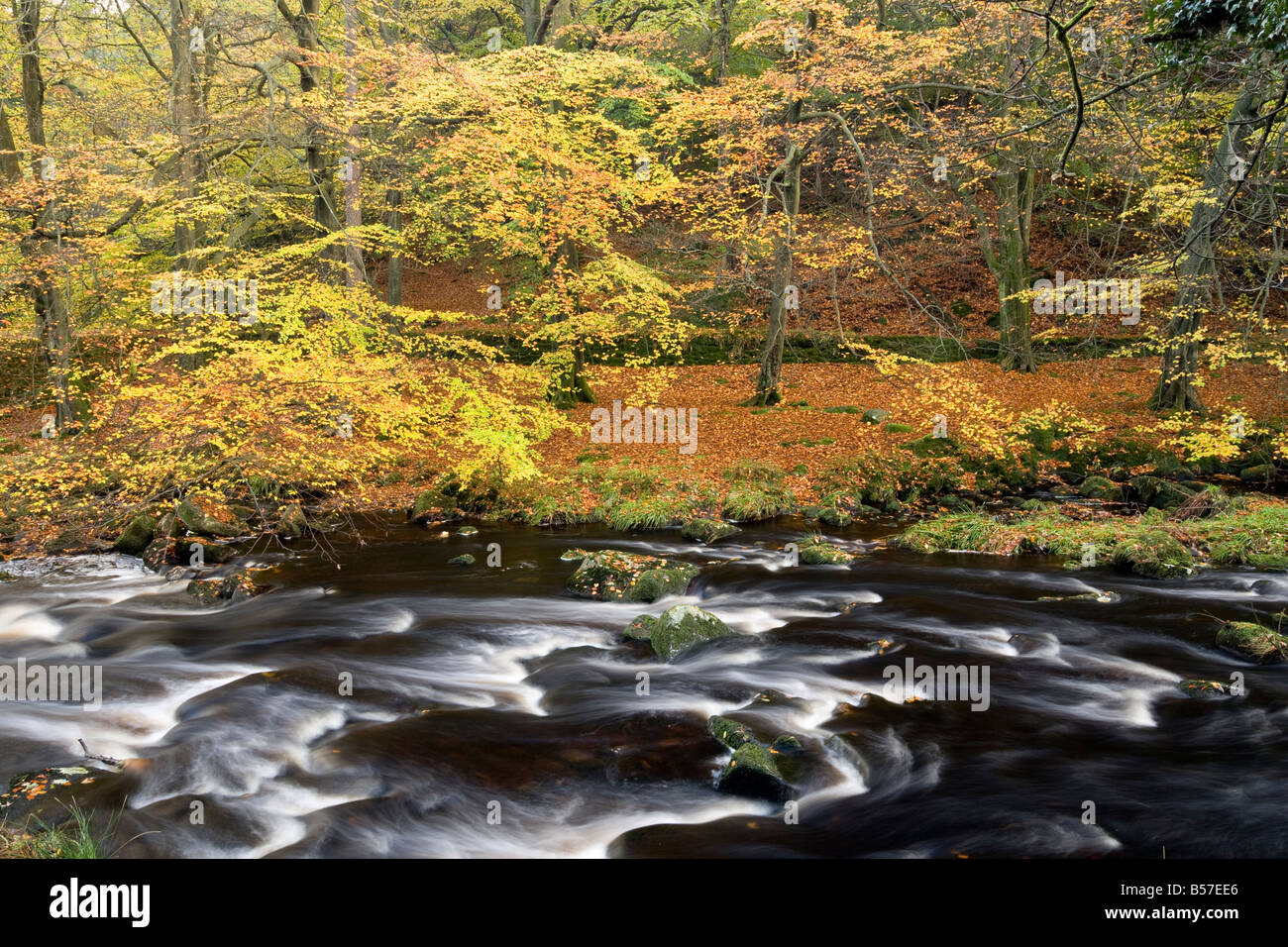 Hebden water running through Hebden Dale near Hebden Bridge Stock Photo ...