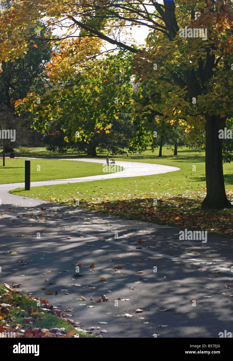 Winding path windy park hi-res stock photography and images - Alamy