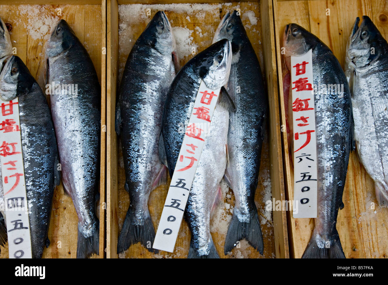 Salmon for sale at the Asaichi Market, Hakodate, Hokkaido, Japan, Asia ...