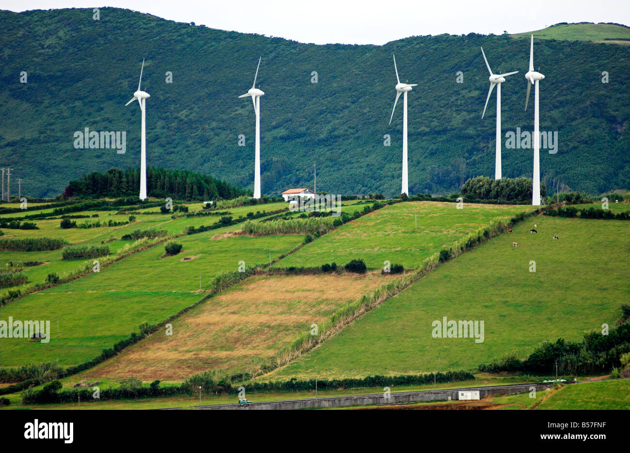 Modern power generating wind turbines on top of hill Stock Photo - Alamy