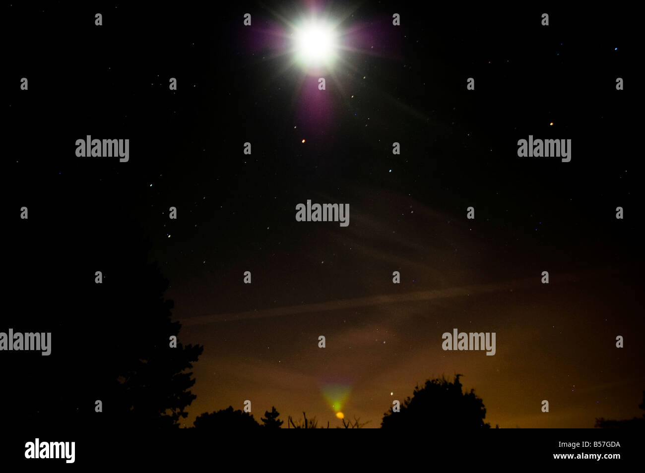 Moon over trees at night Stock Photo - Alamy