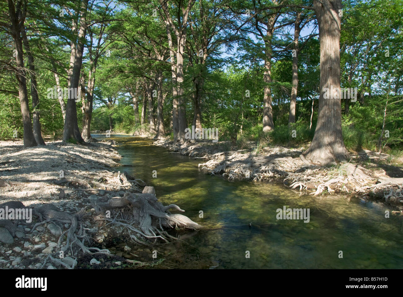 Texas Hill Country Bandera County Freeman Crossing Medina River Stock ...