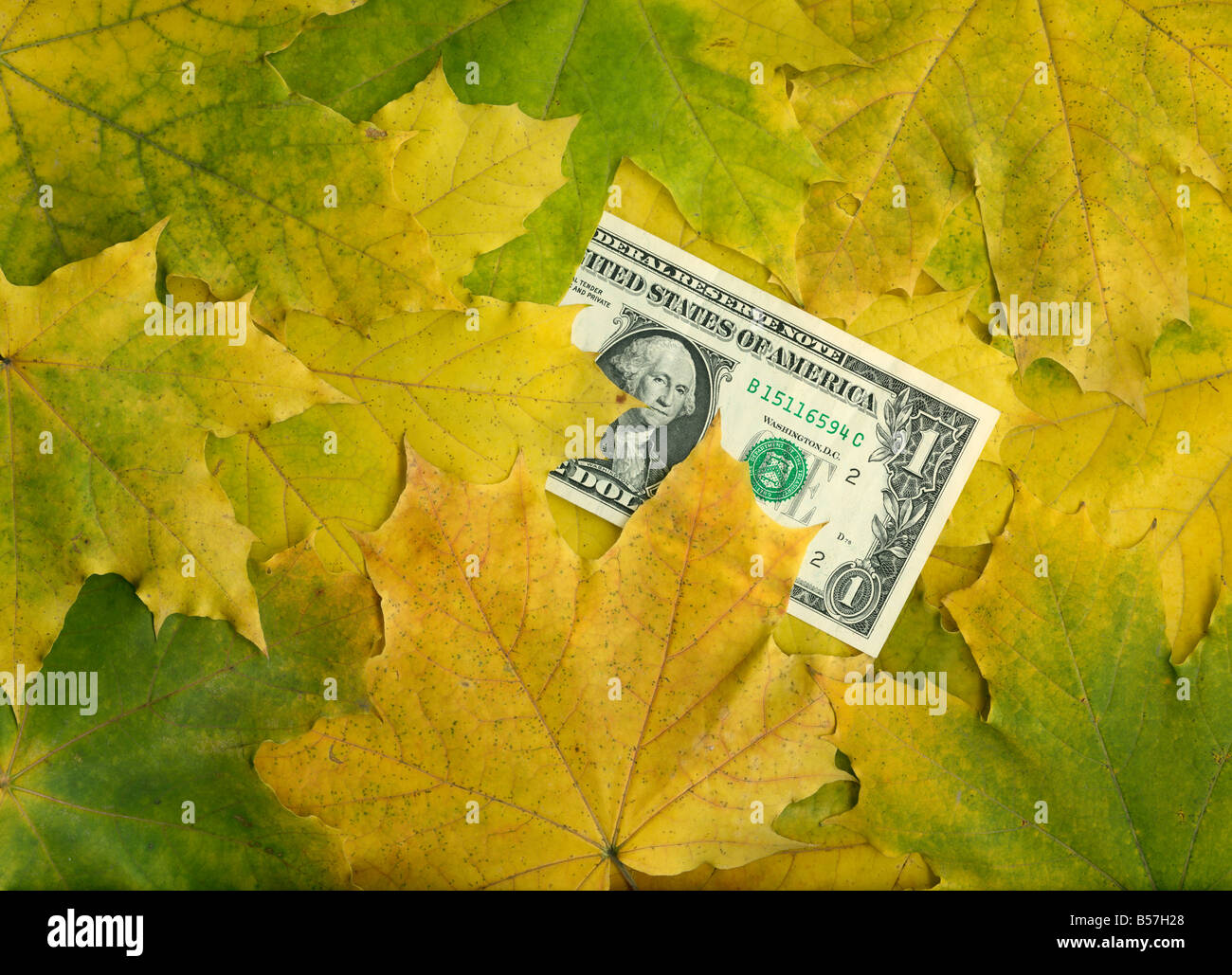 Leaves crash hi-res stock photography and images - Alamy