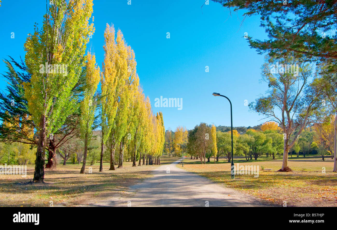 great image of a path through the park Stock Photo - Alamy