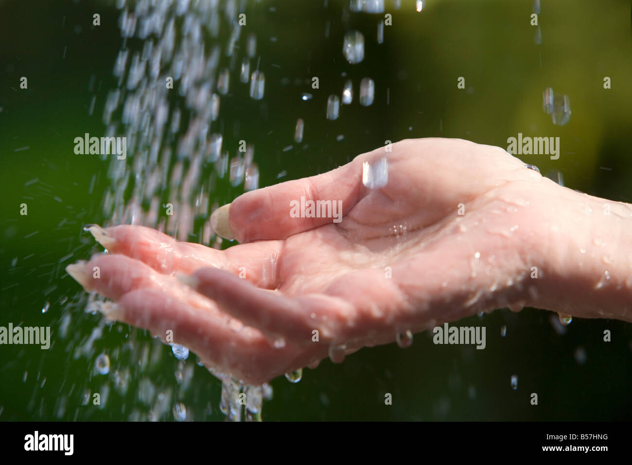 Hand pouring water hi-res stock photography and images - Alamy