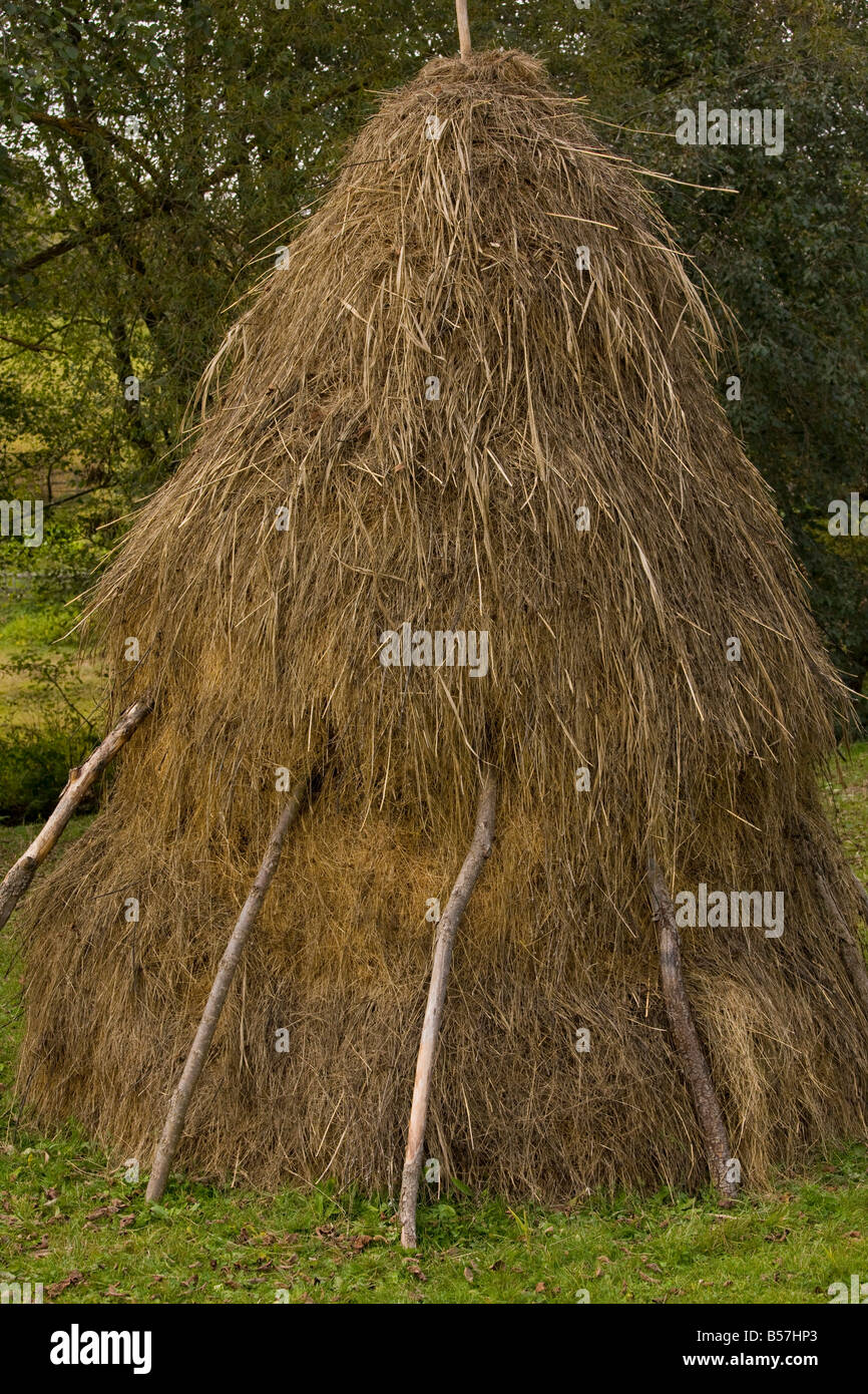 Stook hi-res stock photography and images - Alamy