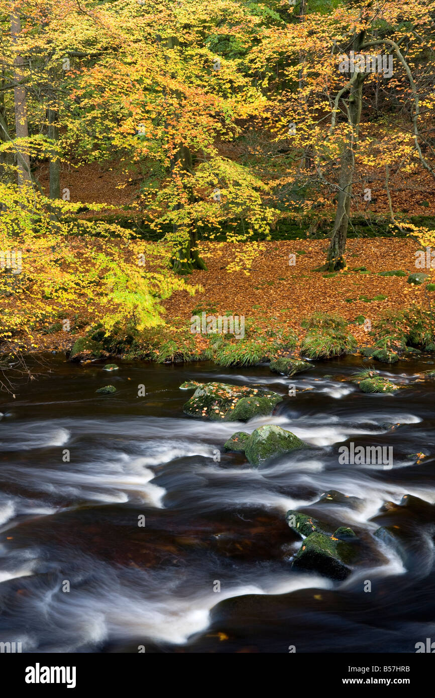 Hebden water running through Hebden Dale near Hebden Bridge Stock Photo ...
