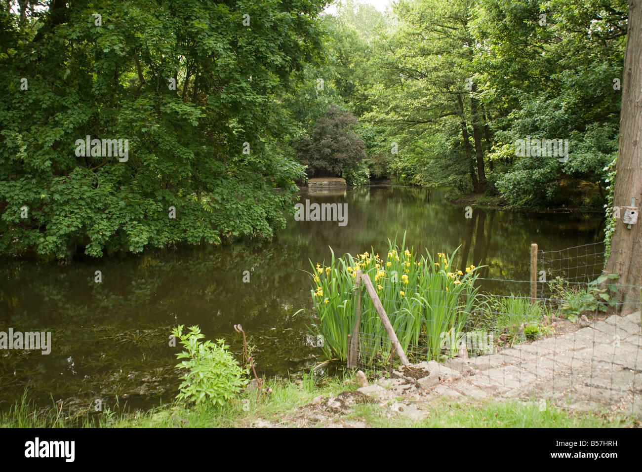 Hooge Chateau crater near Ypres a mine blown up by the British in 1915 ...