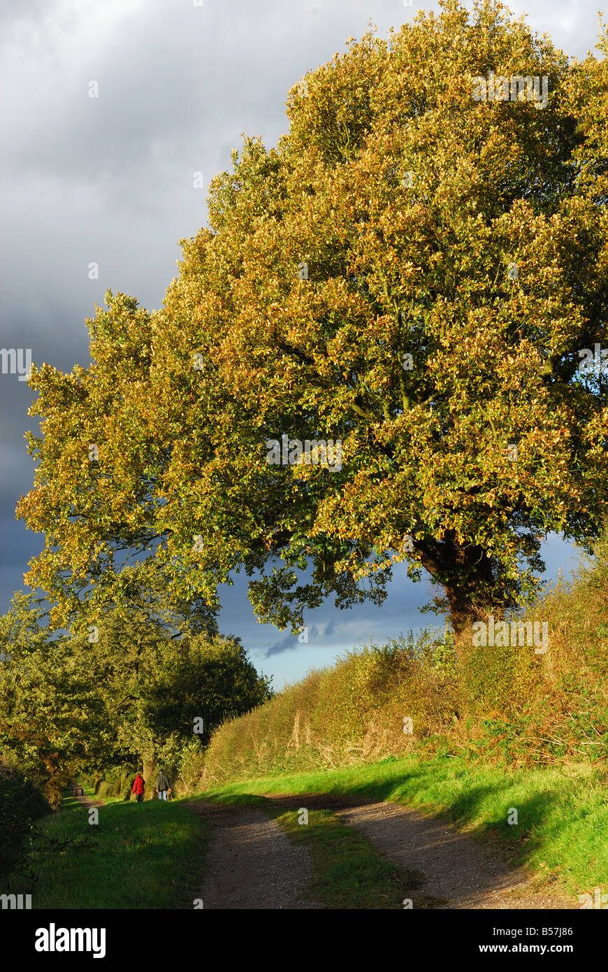 English Countryside (public footpath Stock Photo - Alamy
