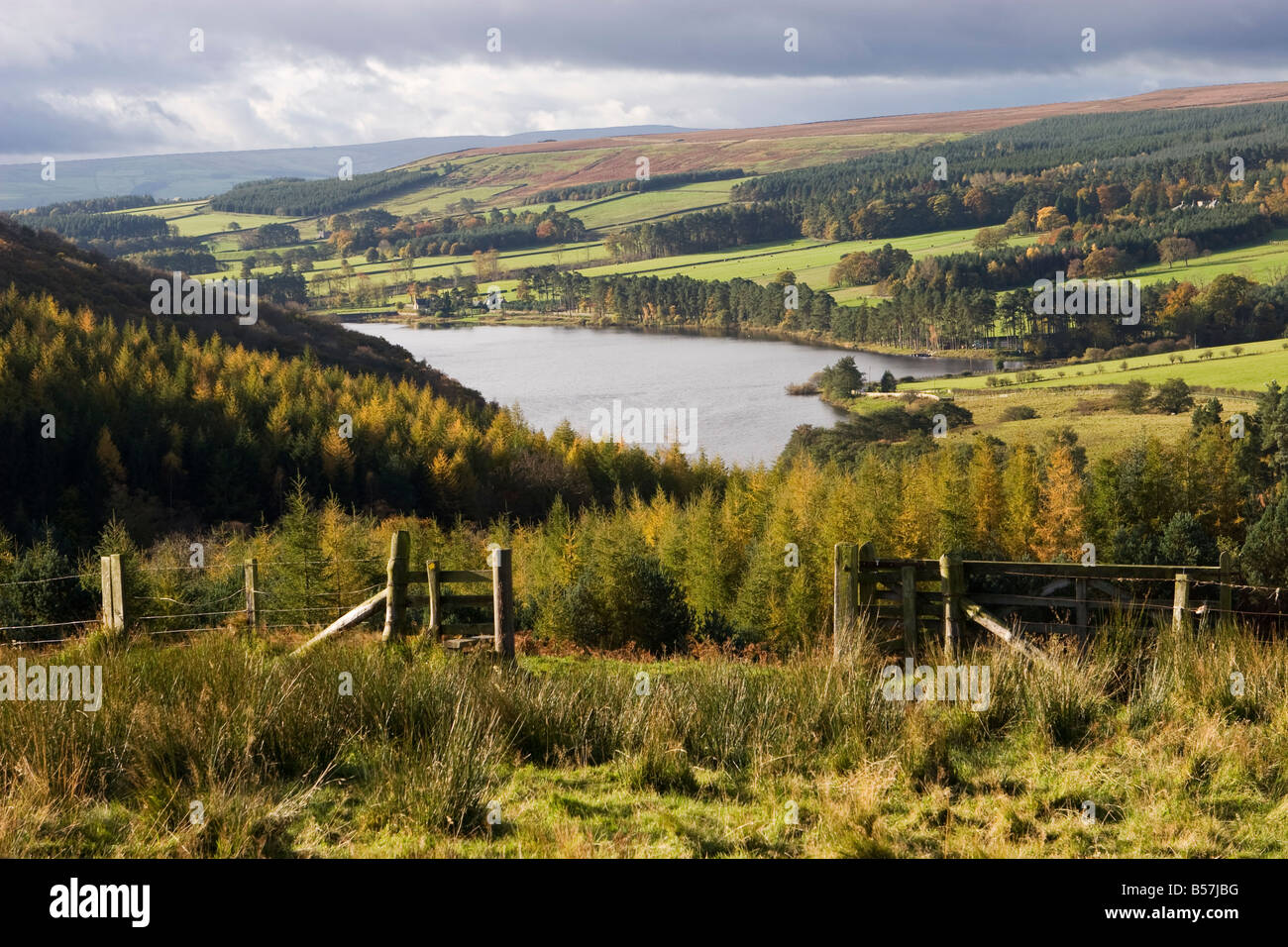 County durham countryside hi-res stock photography and images - Alamy