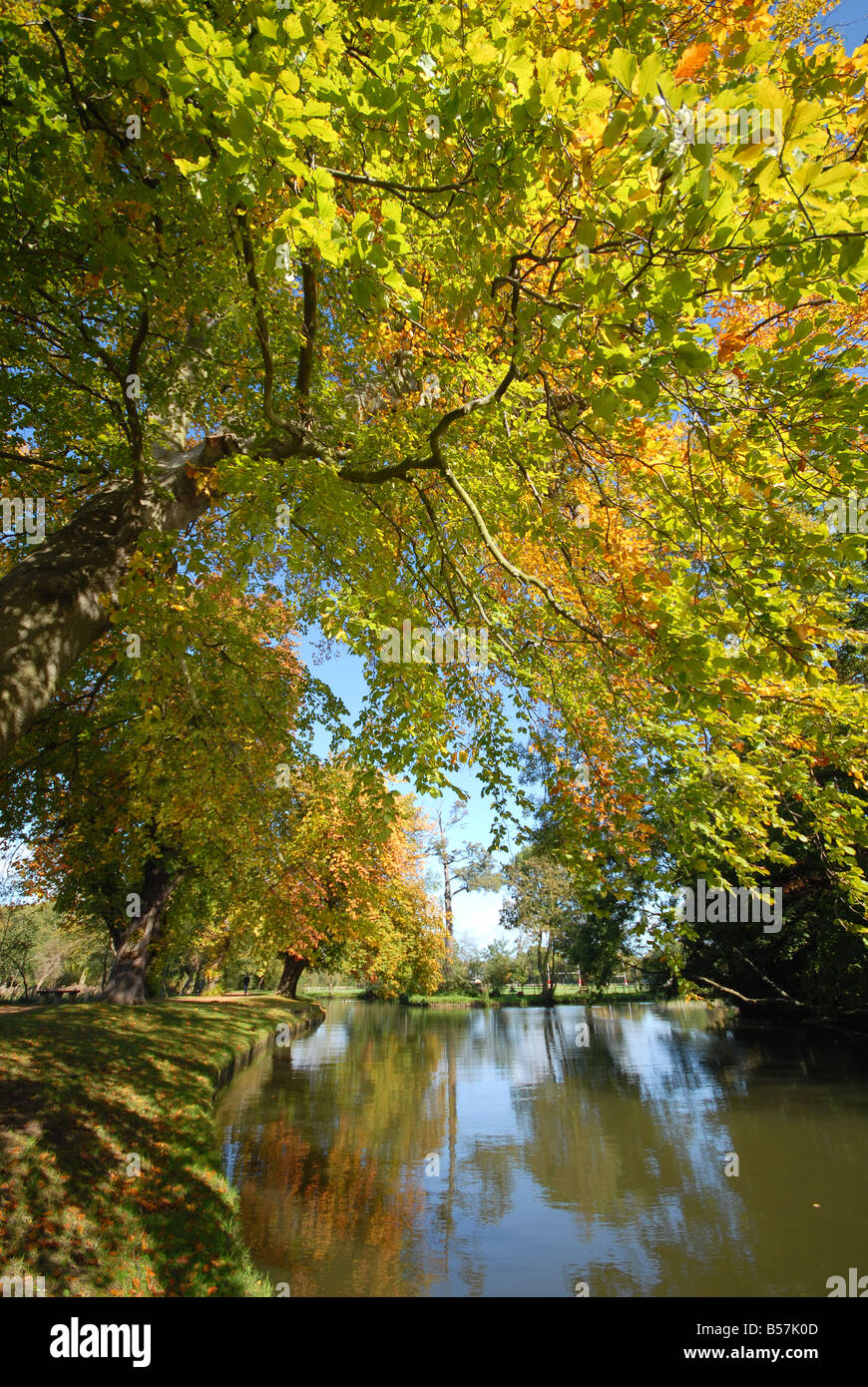 OXFORD, UK. The River Cherwell running through Christ Church Meadow ...