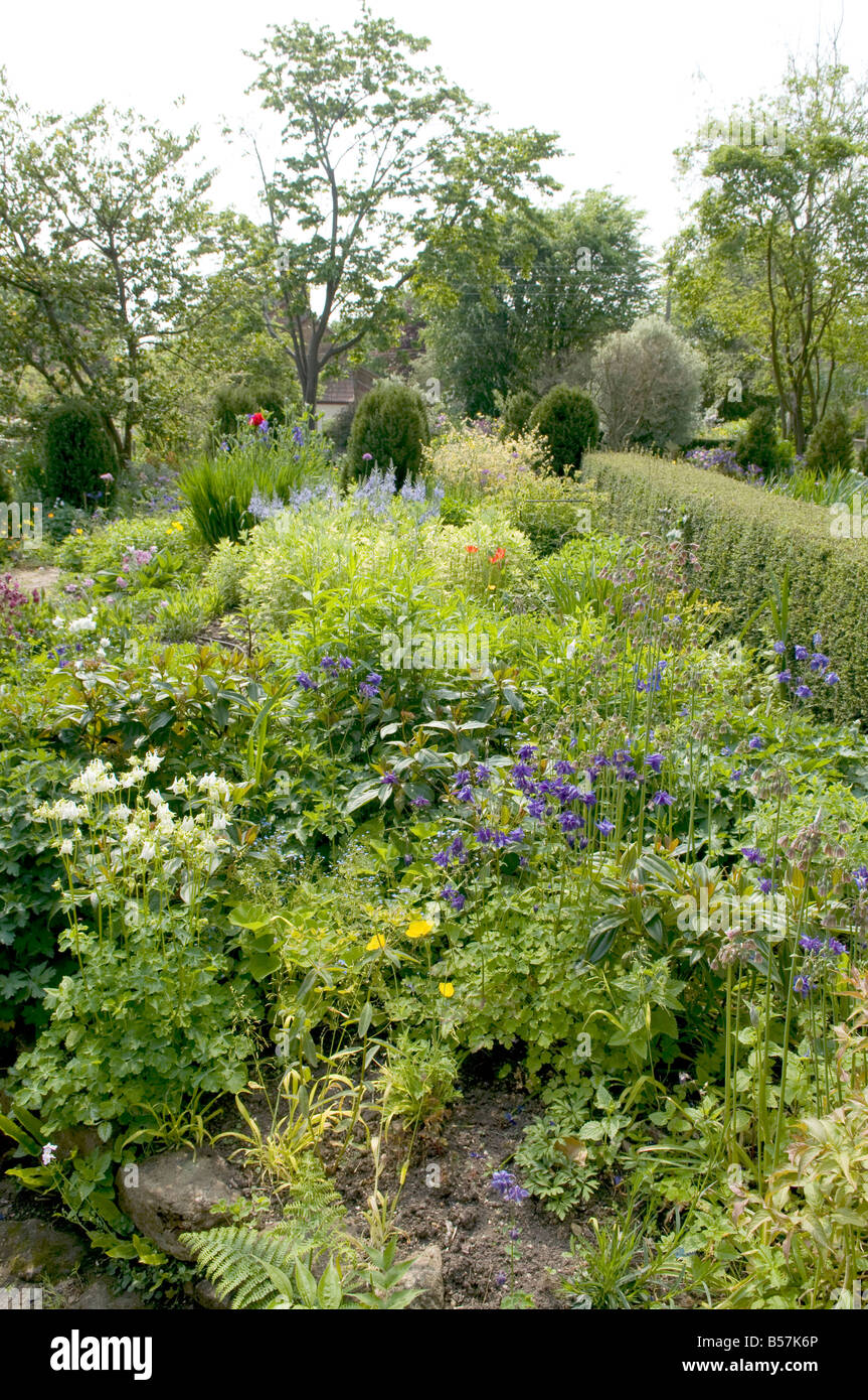 Typical english garden plants flowers hi-res stock photography and ...
