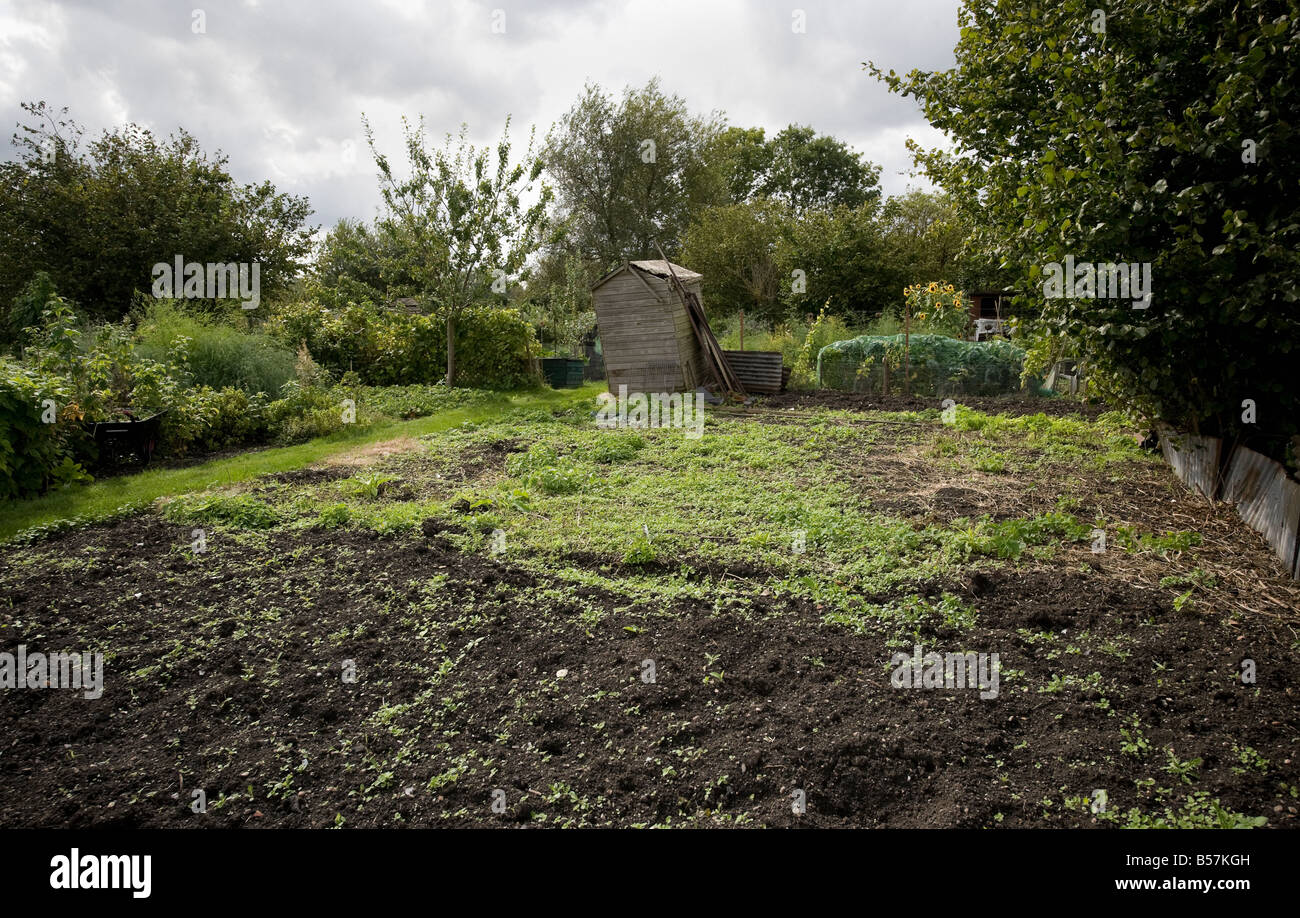 Shed falling down hi-res stock photography and images - Alamy