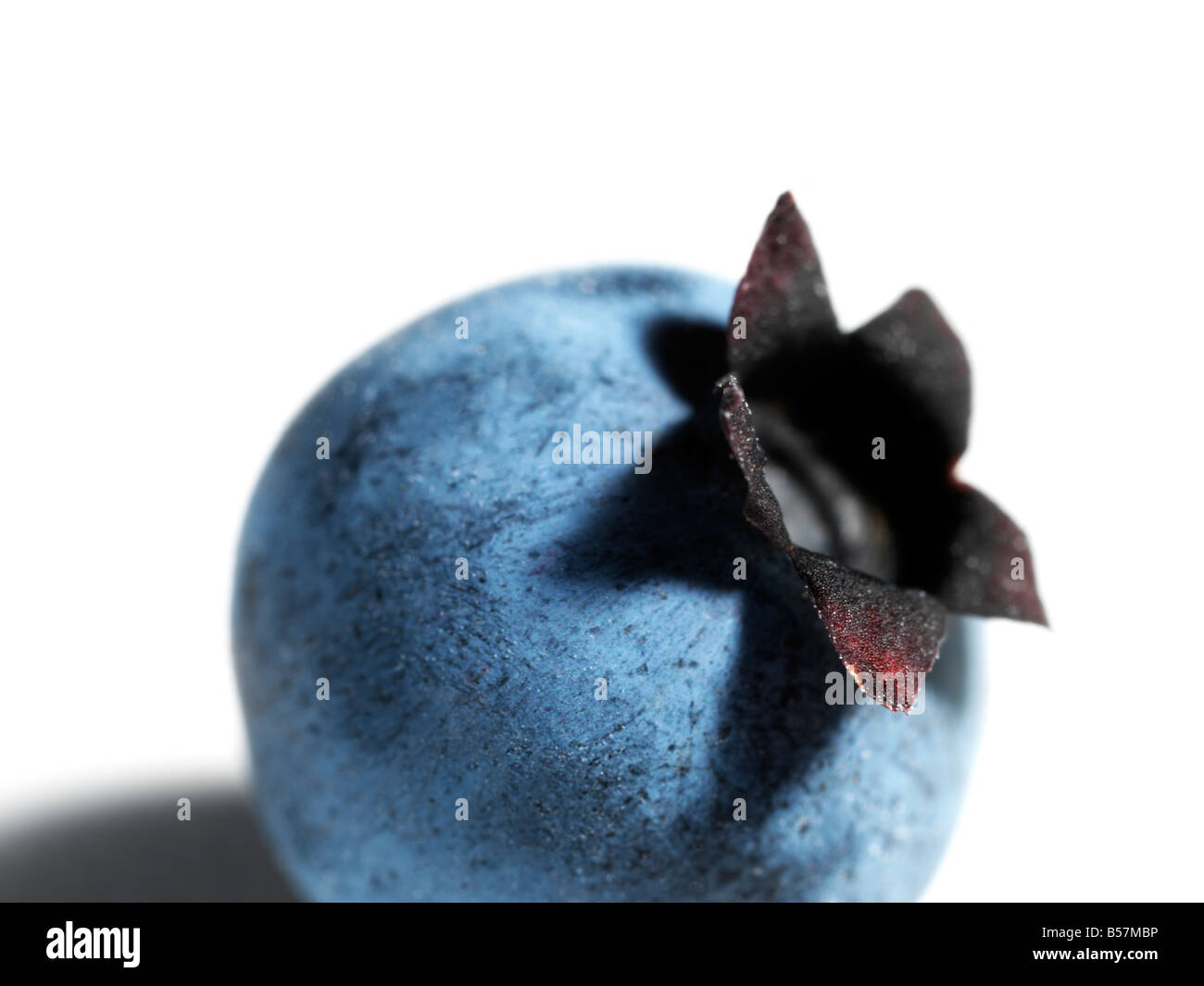 ultra close up of a blueberry Stock Photo - Alamy