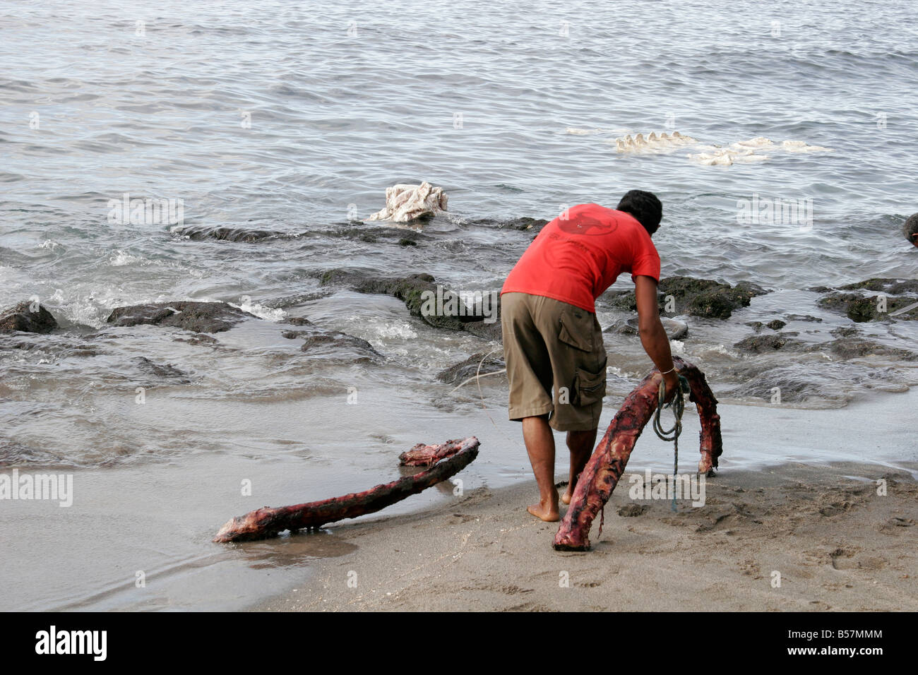 Whaling village Lamalera, Lembata, Indonesia Stock Photo - Alamy