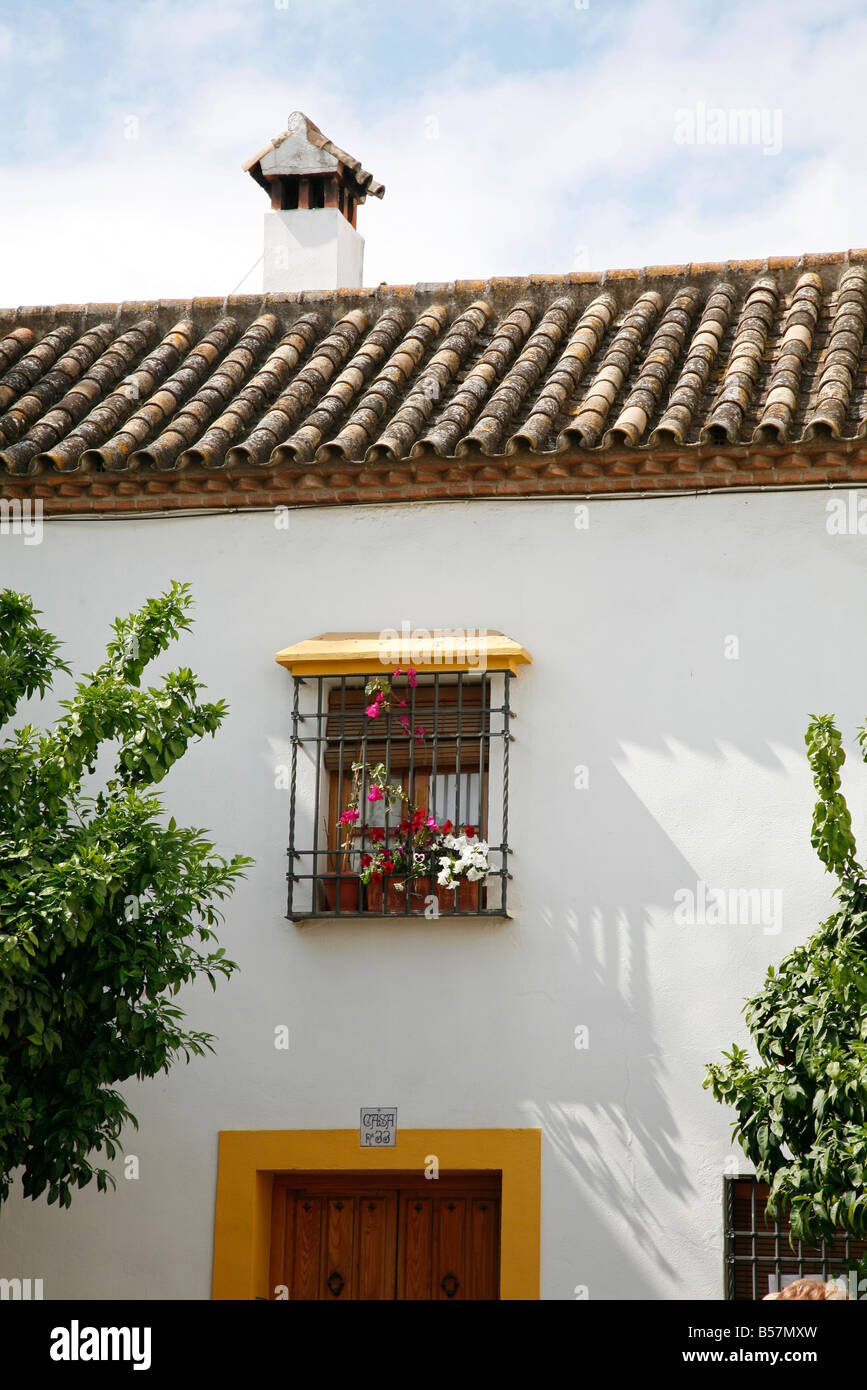 Traditional Spanish House
