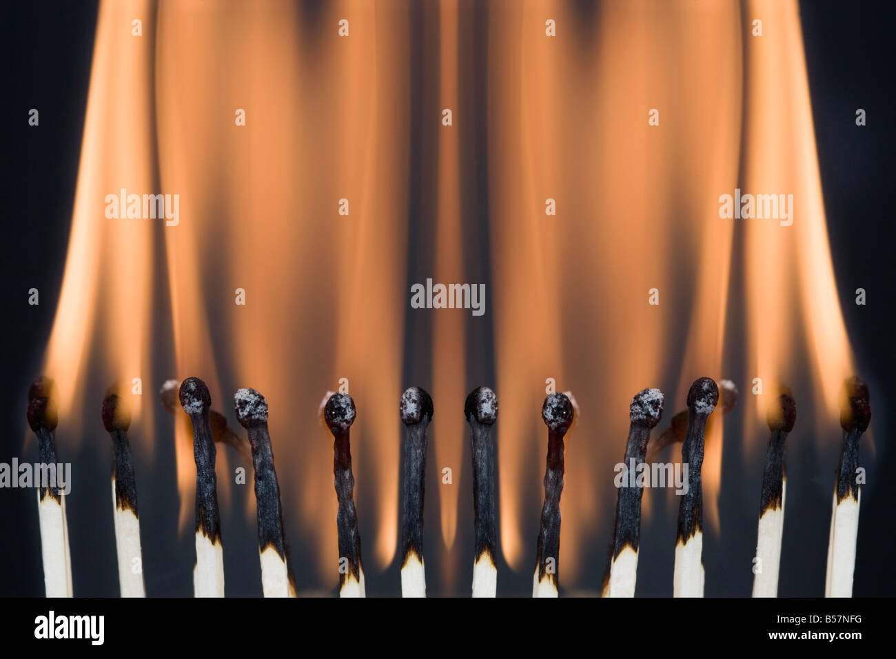 Row of burning matches Stock Photo - Alamy