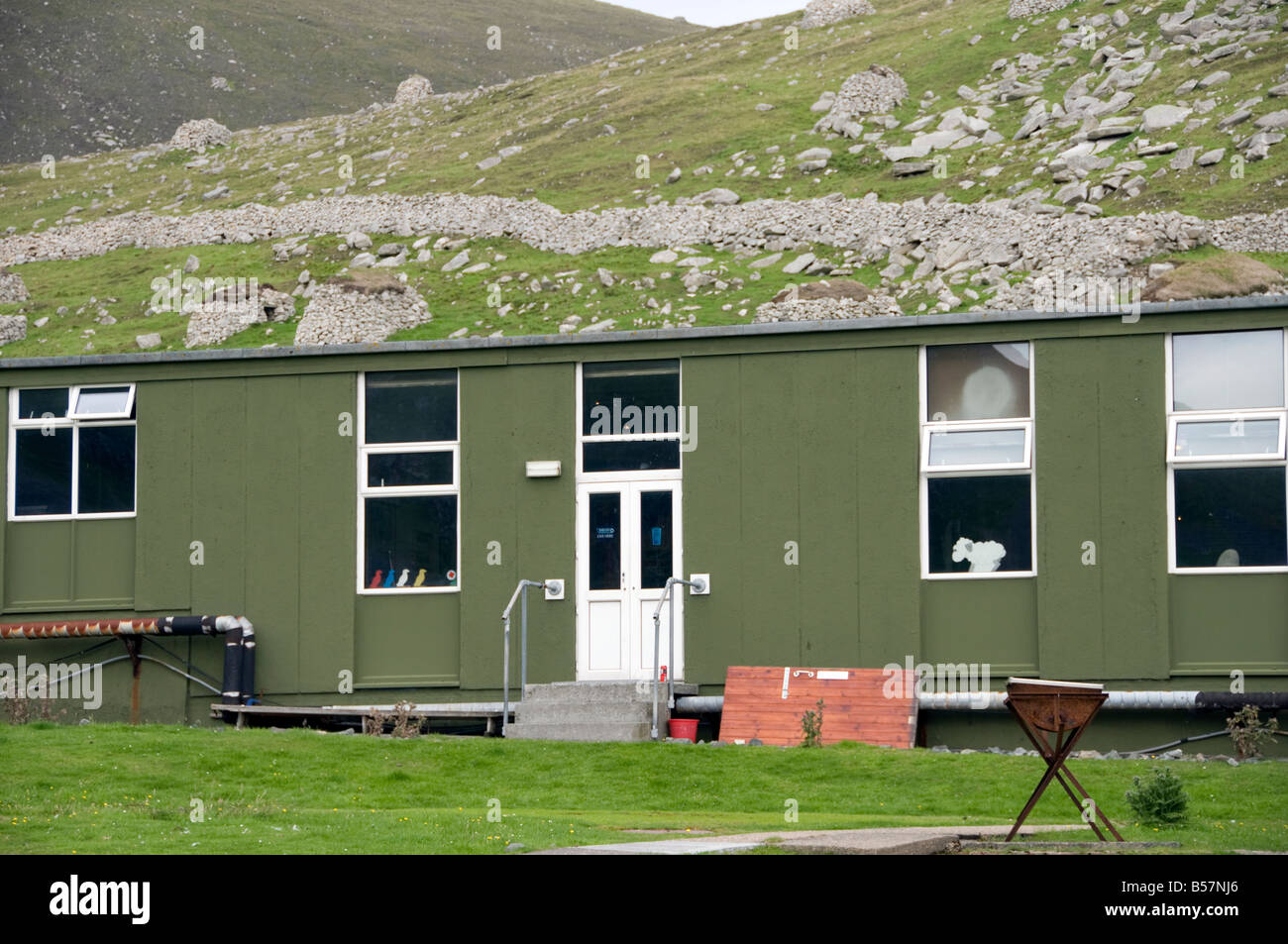 St Kilda Puffin Bar Stock Photo - Alamy